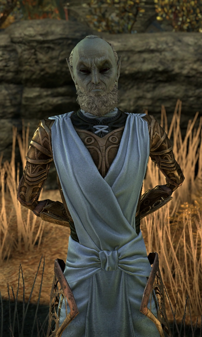 Proctor Teryon | Wiki The Elder Scrolls | Fandom
