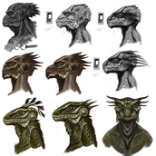 Argonians (Skyrim) | Elder Scrolls | Fandom
