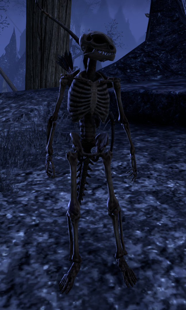 Loup De Mer Argonien Perdu Wiki The Elder Scrolls Fandom