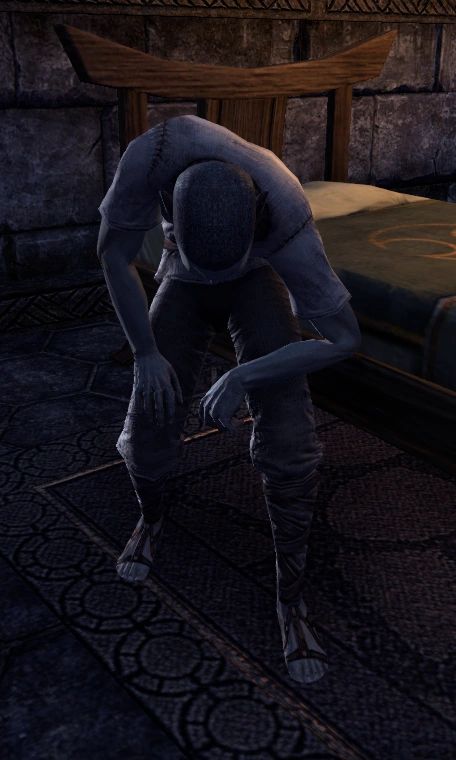 Séro Irano | Wiki The Elder Scrolls | Fandom