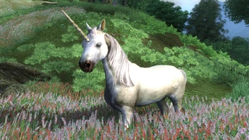 Unicorn (Oblivion) | Elder Scrolls | Fandom