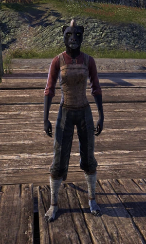 Hanali | Elder Scrolls | Fandom