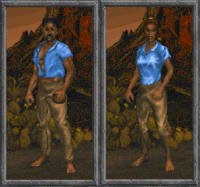 Races (Daggerfall) | Elder Scrolls | Fandom