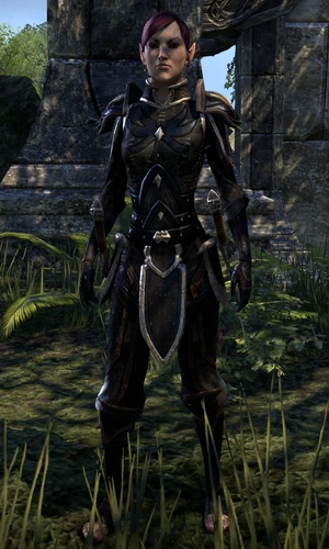 Scout Cariel | Elder Scrolls | Fandom