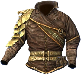 Cultist Robes | Elder Scrolls | Fandom