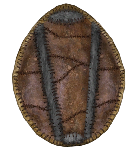 Eagle Feather Shield | Elder Scrolls | Fandom