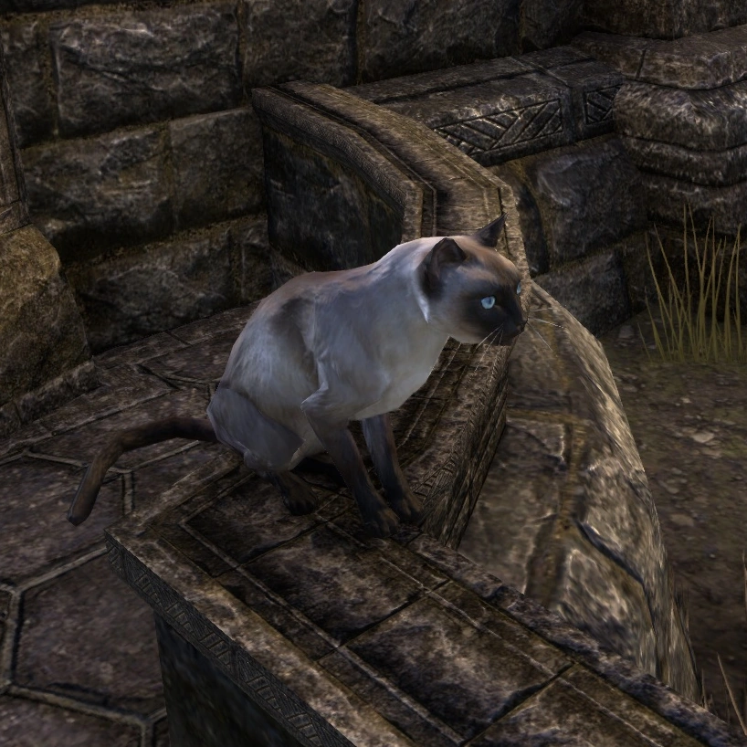 Mittens Q. Deathclaw III | Elder Scrolls | Fandom