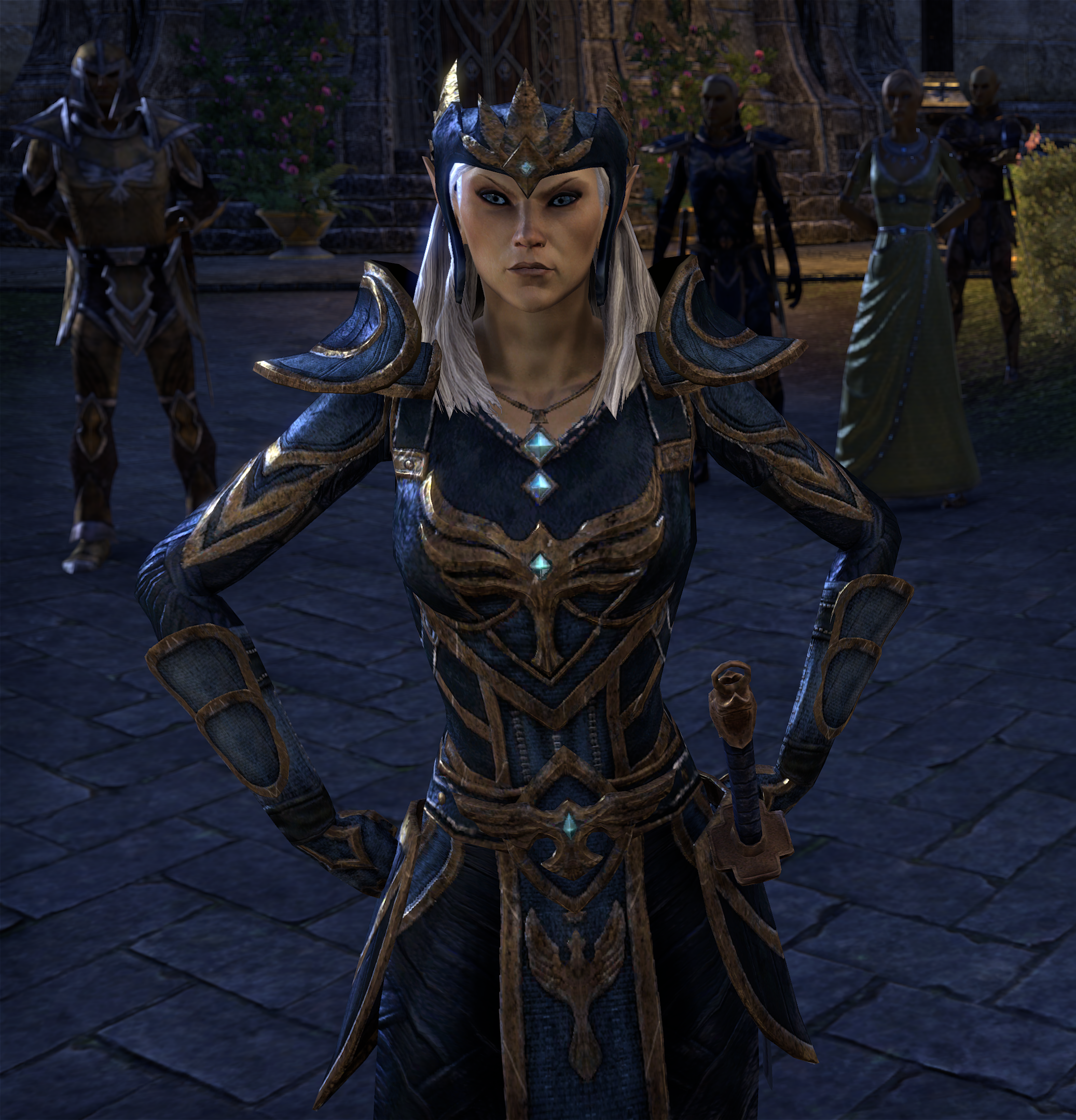 Reina Elfa De Elder Scrolls Online