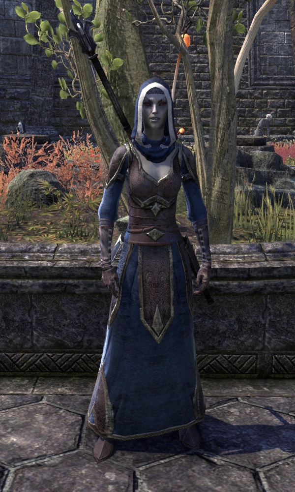 Instructor Falan | Elder Scrolls | Fandom