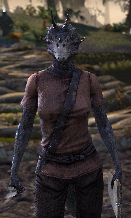 Marche Loin Wiki The Elder Scrolls Fandom