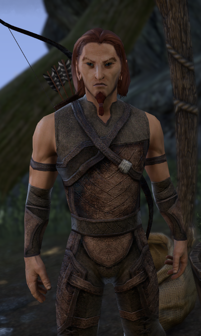 Edrin Wiki The Elder Scrolls Fandom