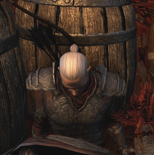 Dragonguard Orland | Elder Scrolls | Fandom