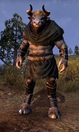 Minotaur Shaman | Elder Scrolls | Fandom
