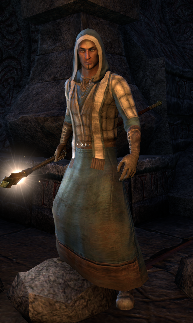 Mage De La Guilde Wiki The Elder Scrolls Fandom