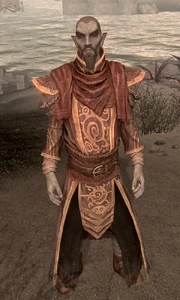 Neloth (Dragonborn) | Elder Scrolls | Fandom
