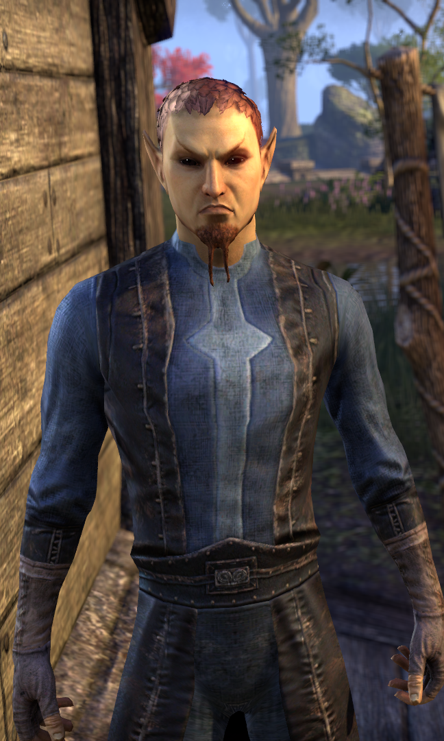 Nélulin Wiki The Elder Scrolls Fandom