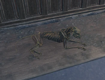 Reanimated Cat | Elder Scrolls | Fandom