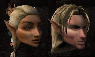 Bosmer (Morrowind) | Elder Scrolls | Fandom