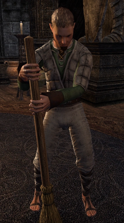 Lewin | Wiki The Elder Scrolls | Fandom