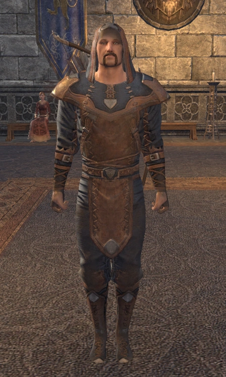 Lion Guard (Character) | Elder Scrolls | Fandom