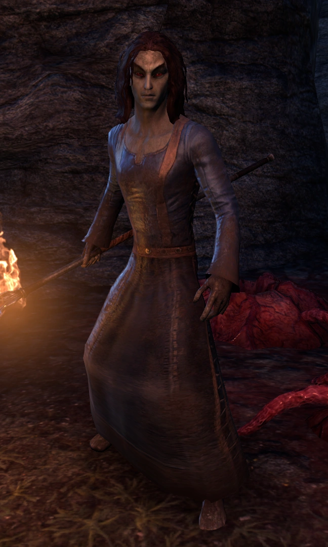 Reine kwama (Dunmer) | Wiki The Elder Scrolls | Fandom