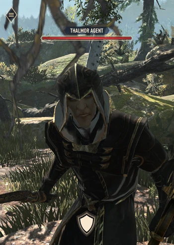 Thalmor Agent (Blades) | Elder Scrolls | Fandom