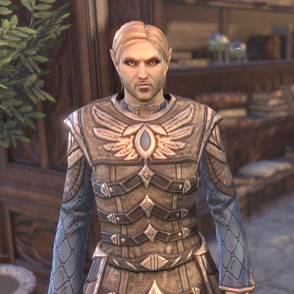 Эмдерил | The Elder Scrolls Wiki | Fandom