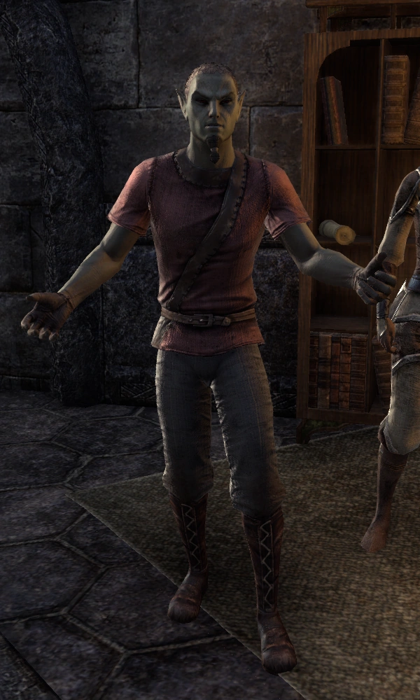 Dalin Seri | Elder Scrolls | Fandom