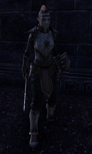 Defender Maera | Elder Scrolls | Fandom