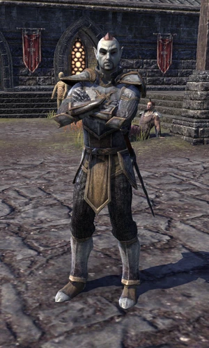 Fighters Guild Sentry | Elder Scrolls | Fandom