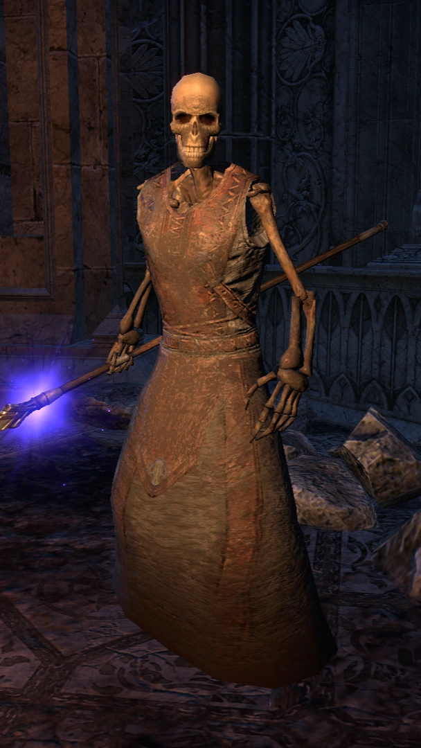 Mage sauvage squelette | Wiki The Elder Scrolls | Fandom