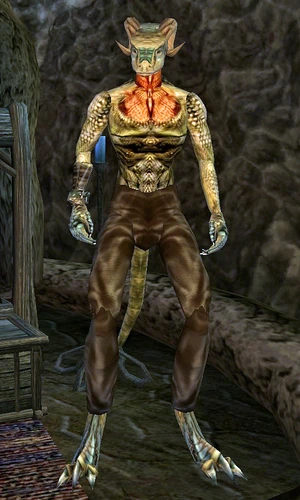 Wanan-Dum | Elder Scrolls | Fandom