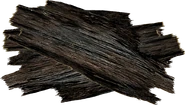 Cult of the Ancestor Moth | Elder Scrolls | Fandom