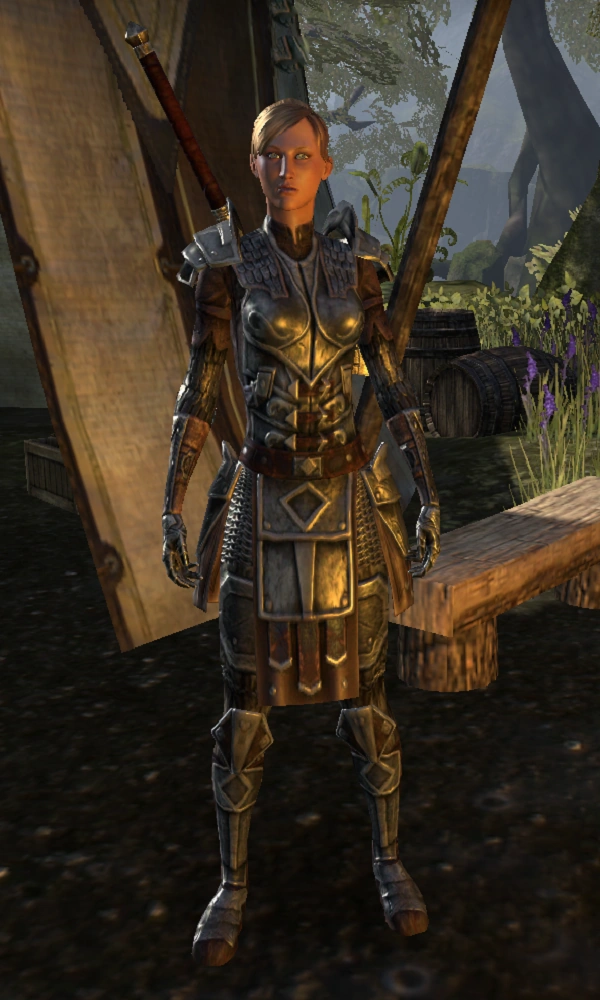 Captain Aurelia Blasio | Elder Scrolls | Fandom