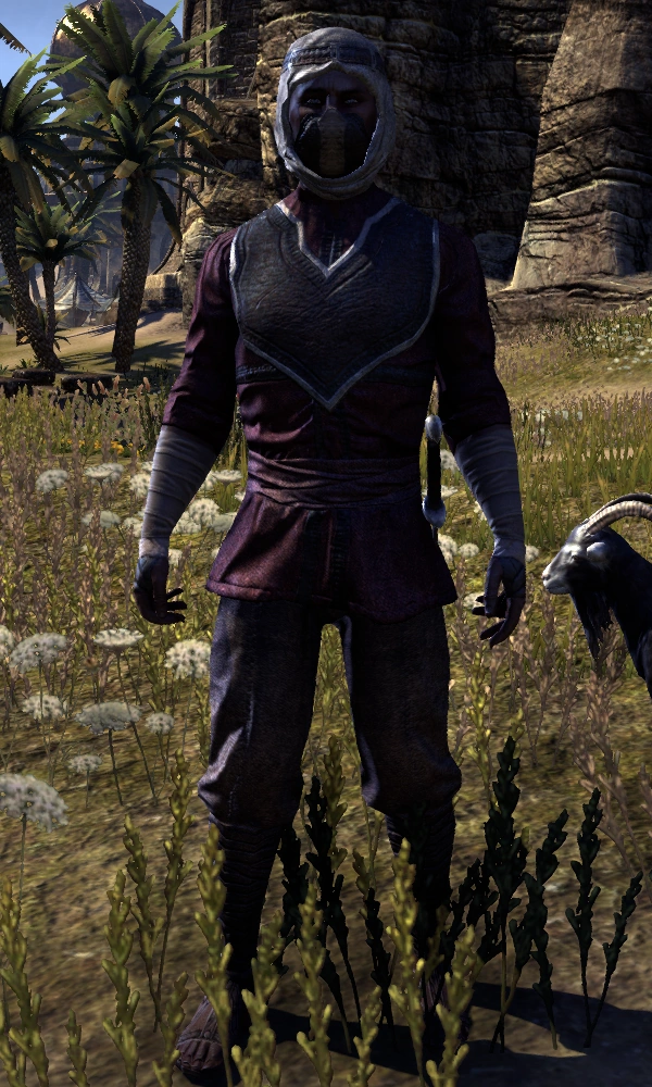 Mirzad | Elder Scrolls | Fandom