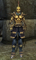 Guards (Morrowind) | Elder Scrolls | Fandom