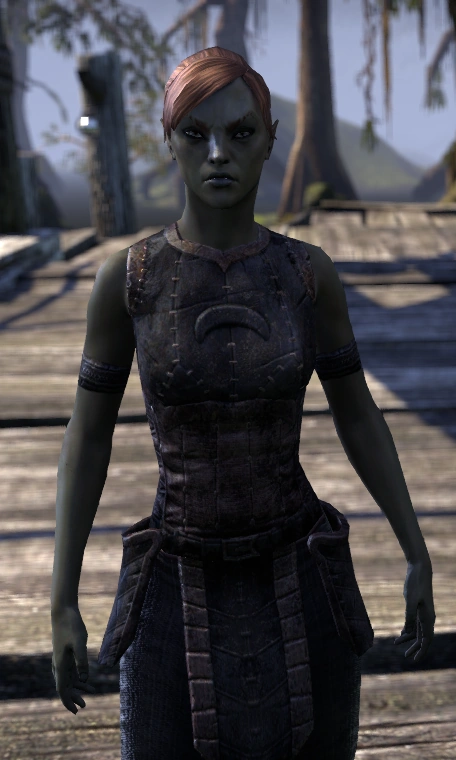 Saly | Wiki The Elder Scrolls | Fandom