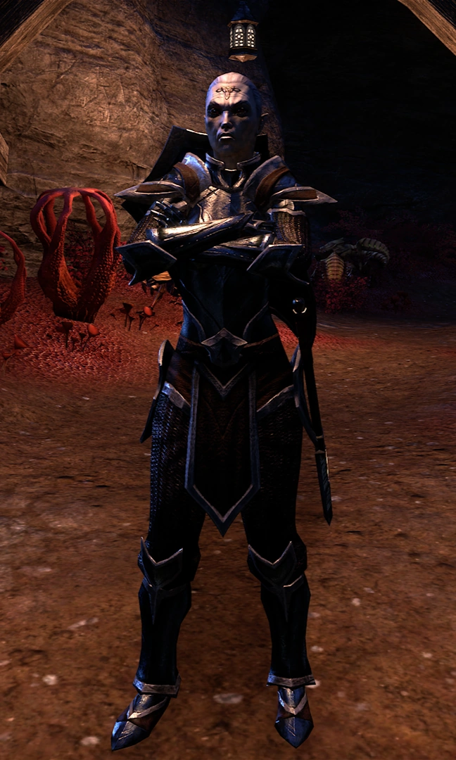 Taskmaster Elitai | Elder Scrolls | Fandom