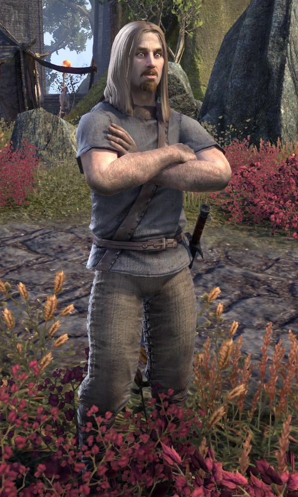 Wisten | Elder Scrolls | Fandom