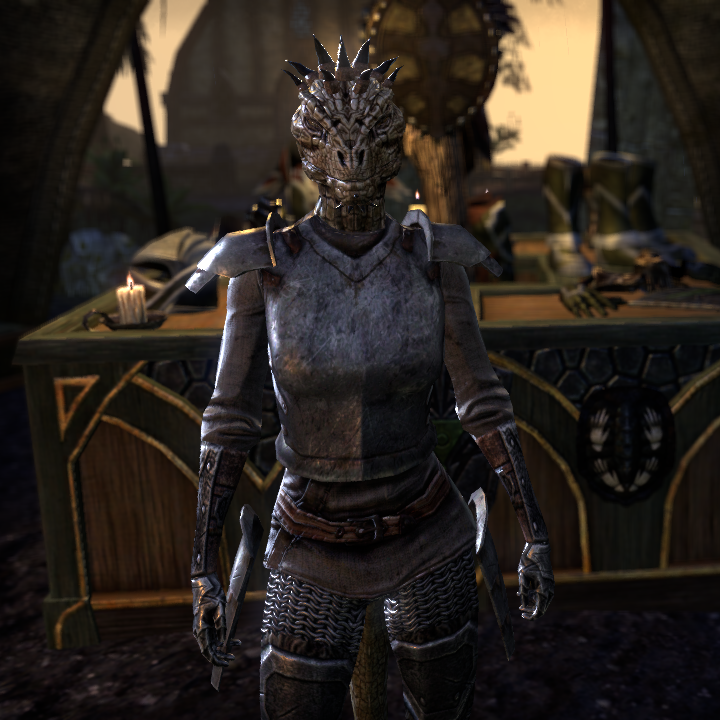 Купается в Стали The Elder Scrolls Wiki Fandom