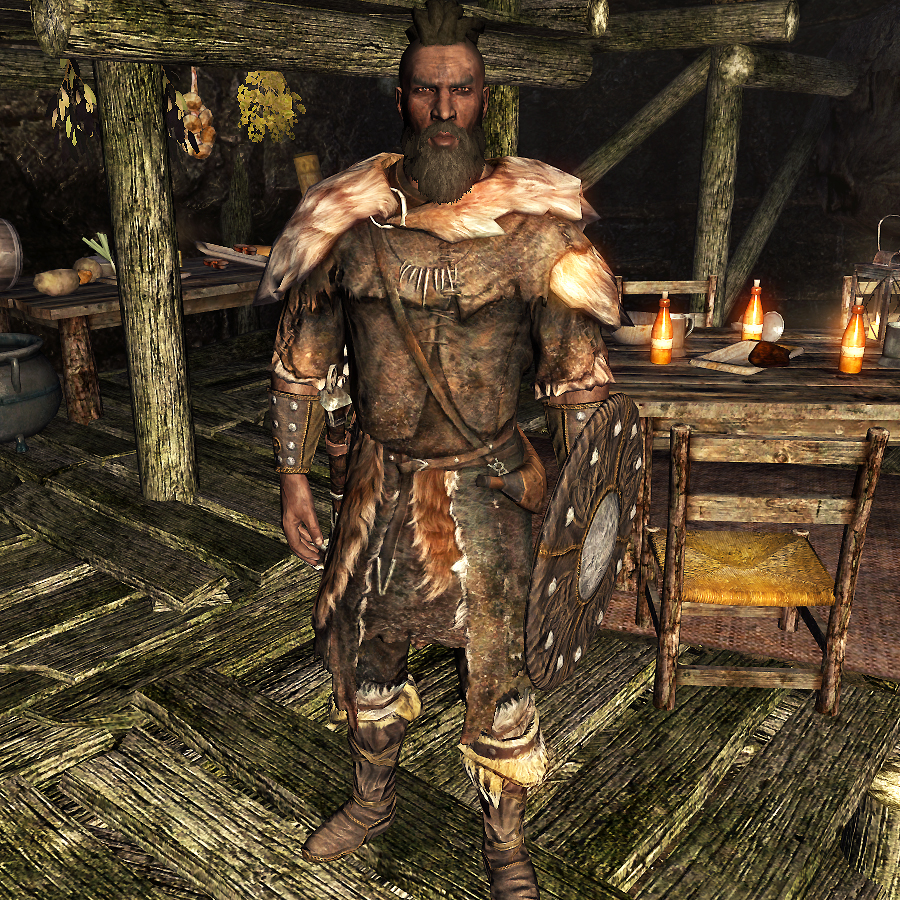 Mercenaire Des Sang Dargent Wiki The Elder Scrolls Fandom