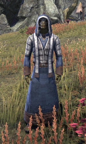 Sleeps-Beneath-Himself | Elder Scrolls | Fandom