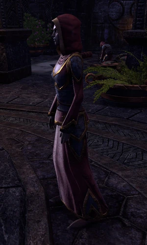 Acolyte Vuri | Elder Scrolls | Fandom