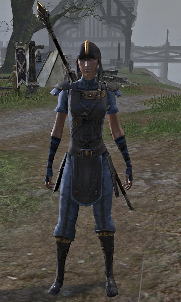 Battlemage Lexi | Elder Scrolls | Fandom