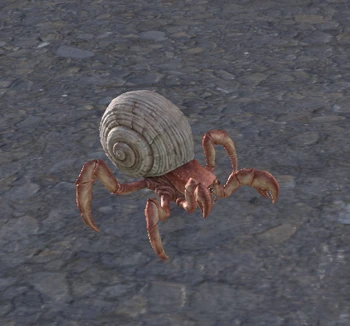 Hermit Crab | Elder Scrolls | Fandom