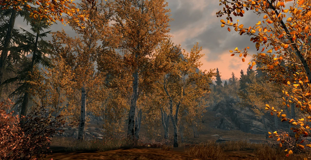 Rift (Skyrim) | The Elder Scrolls Wiki | Fandom