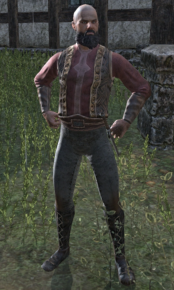 Councilor Theodore | Elder Scrolls | Fandom