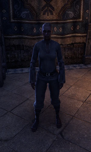 Nesrin | Elder Scrolls | Fandom