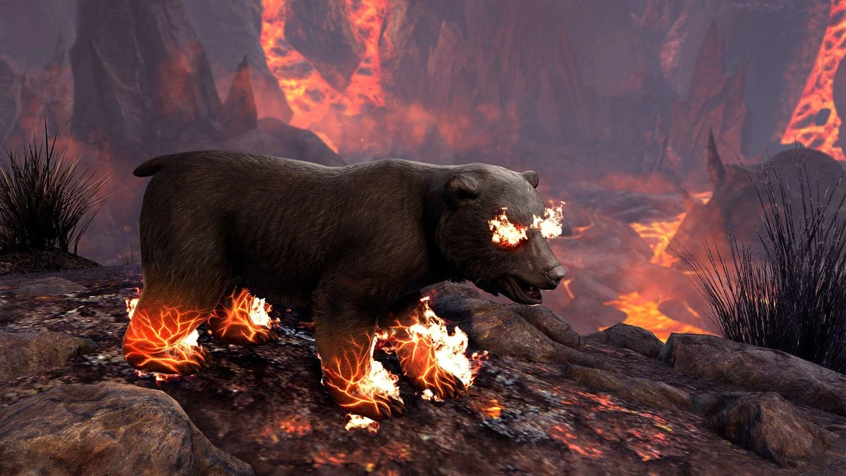 Nightmare Bear Cub | Elder Scrolls | Fandom