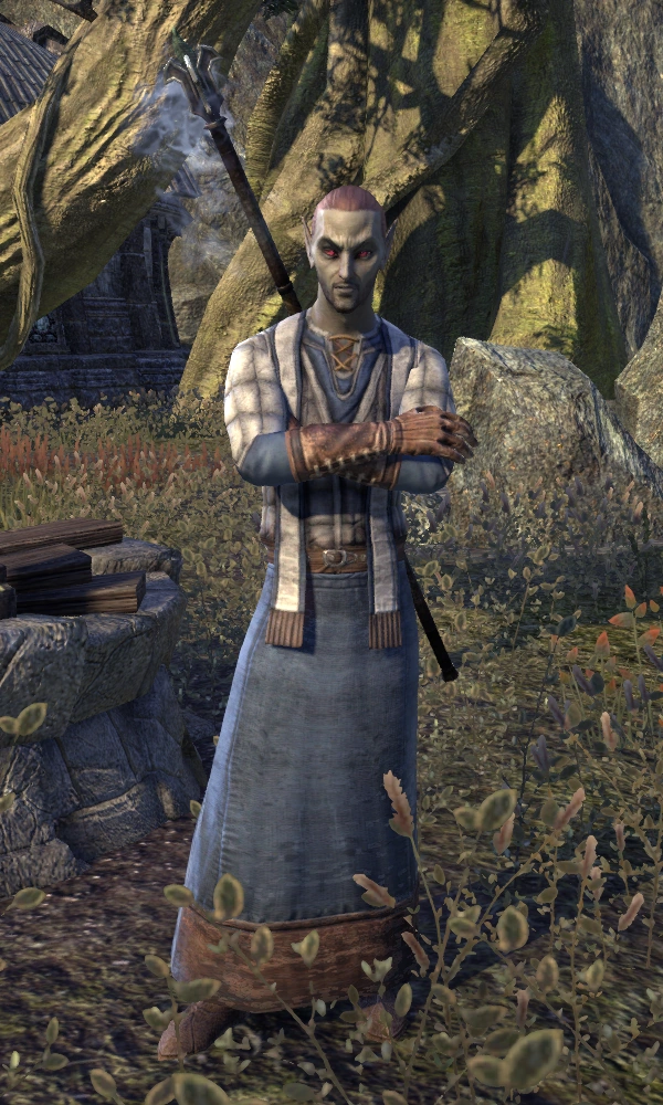 Renus Falvani | Elder Scrolls | Fandom